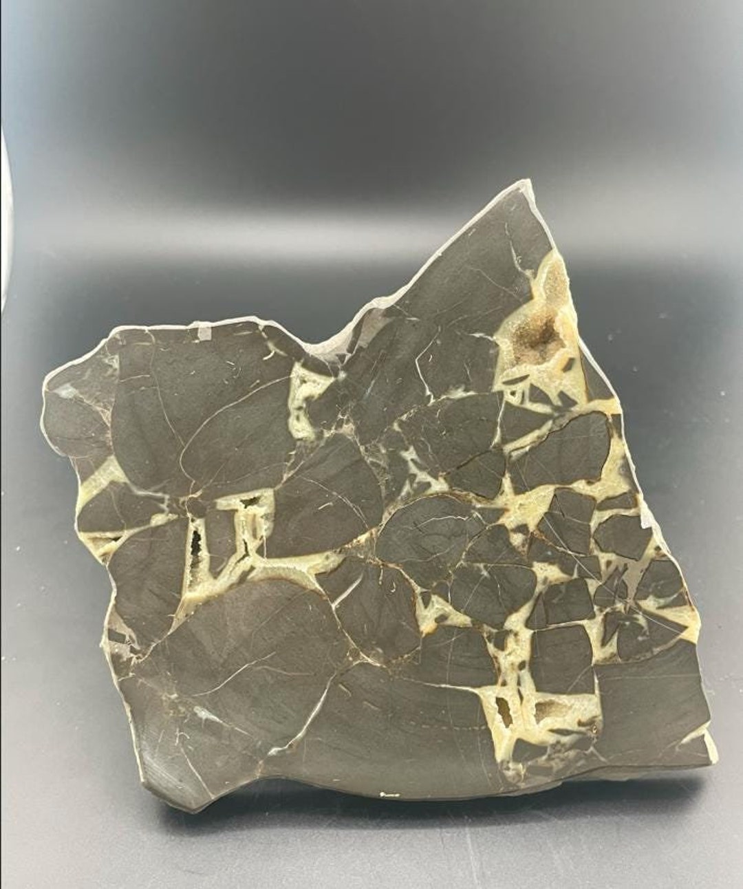 Septarian Nodule Slice (UV Reactive) - Etsy