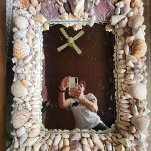 Handmade Shell Mirror - Etsy