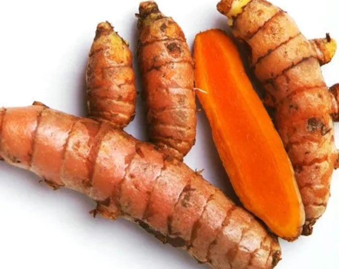 Fresh Turmeric Root - Etsy