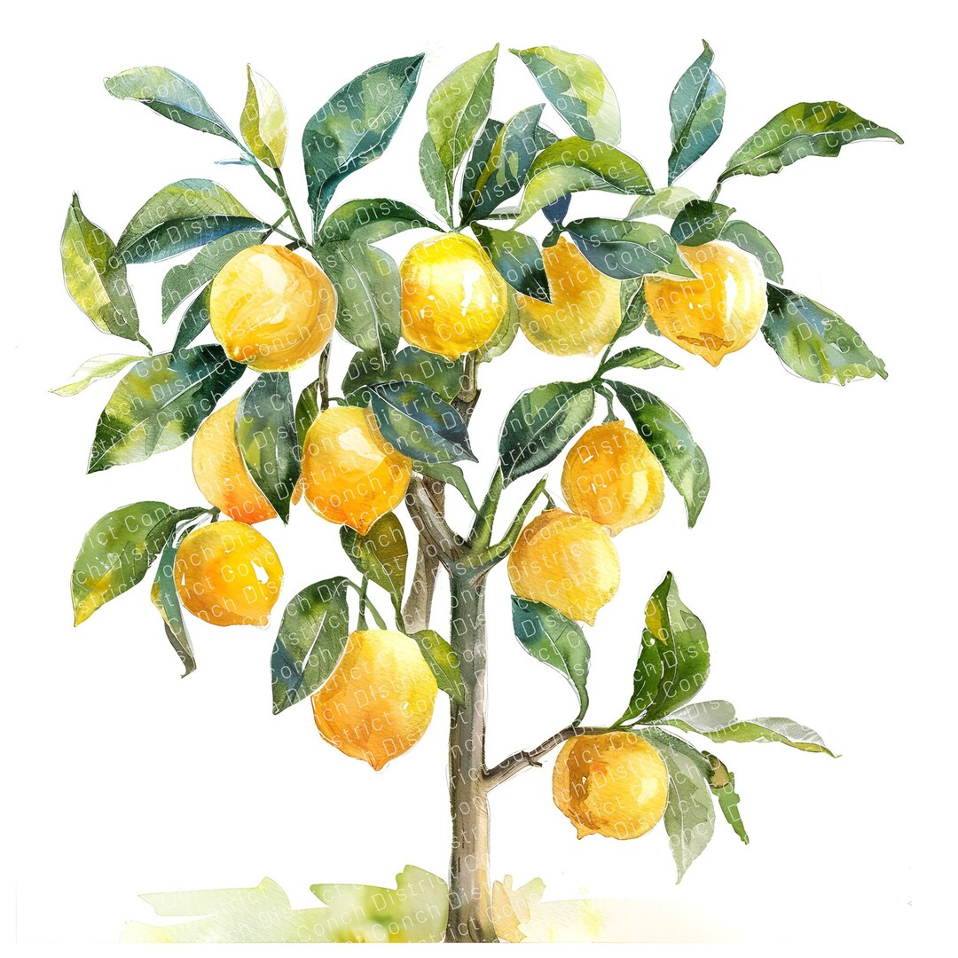Watercolor Lemon Tree DIGITAL DOWNLOAD Lemon Tree Clip Art Lemon Tree ...