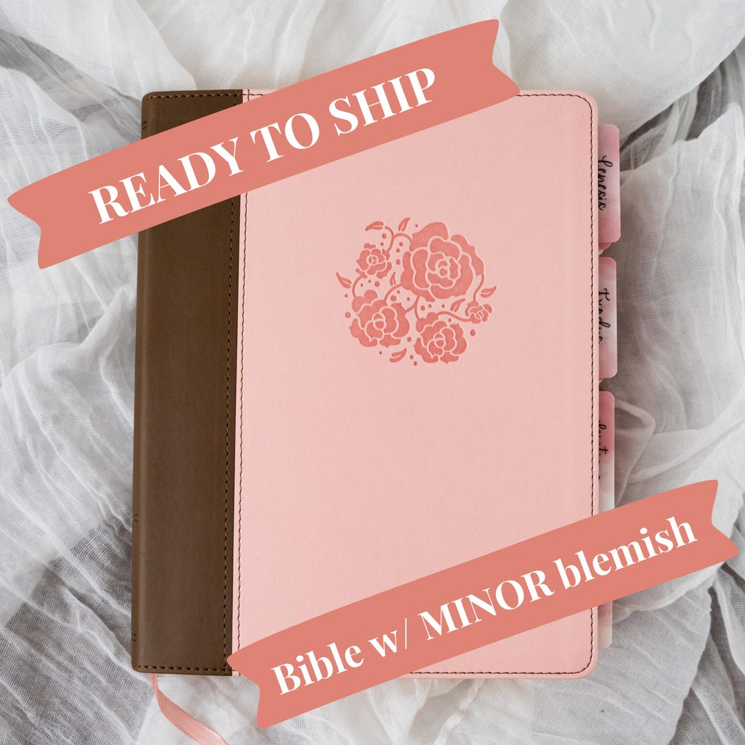 Pink NIV Journaling Bible With Bible Tabs, Bible With MINOR Blemish ...