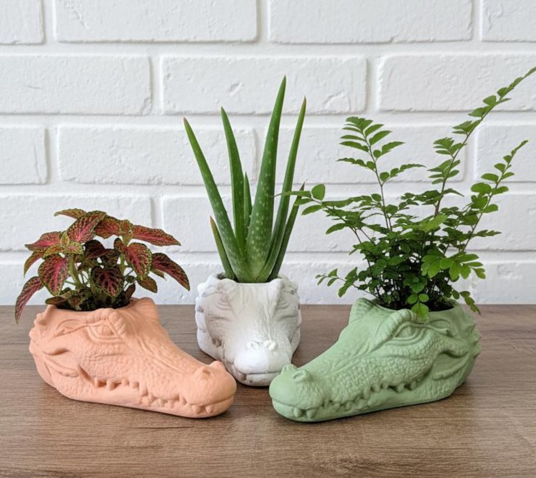 3D Printed Crocodile Planter - Jungle Vibe for Indoor and Outdoor ...