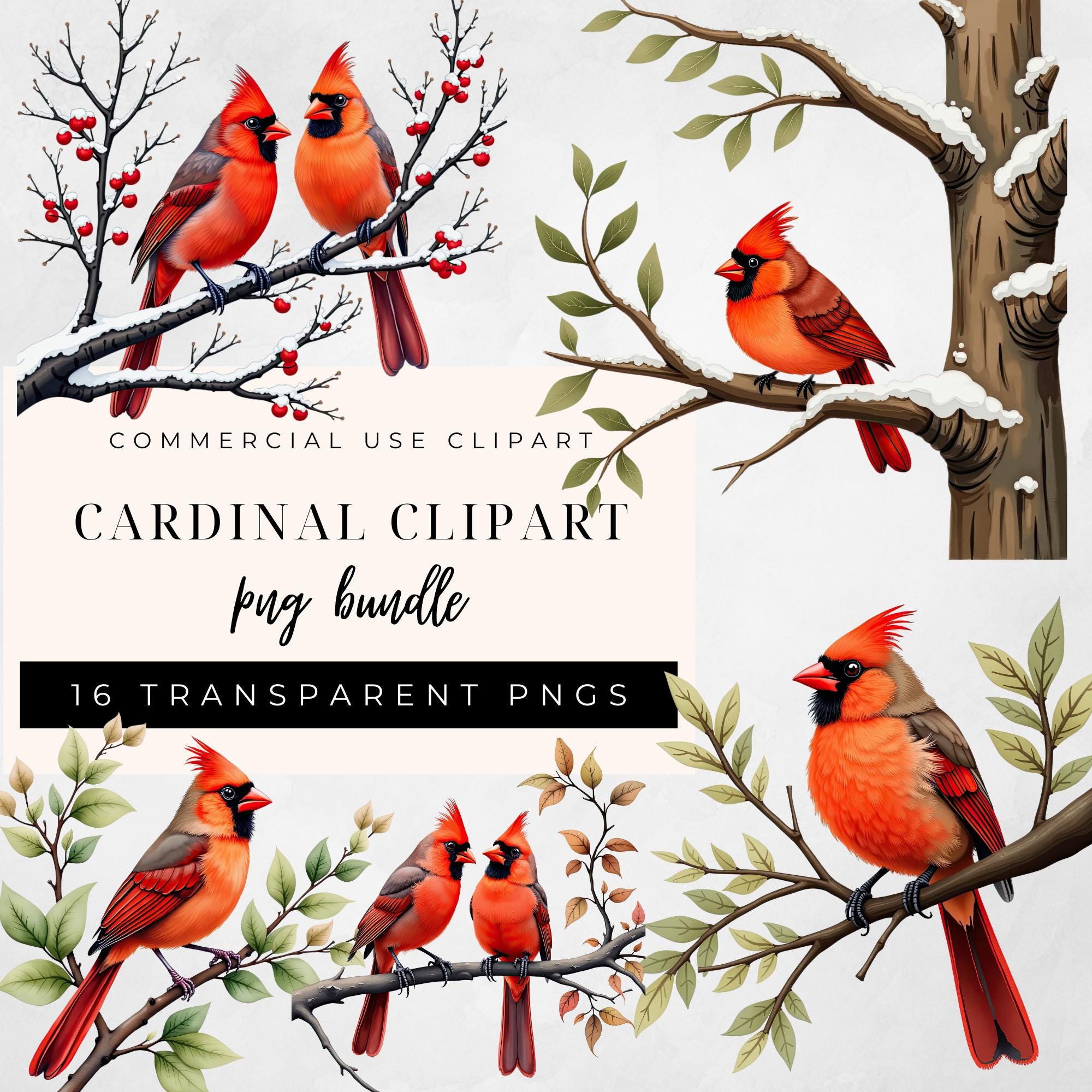 Cardinal Clipart Bundle, Cardinal PNG, Red Bird Png, Cardinal Print ...