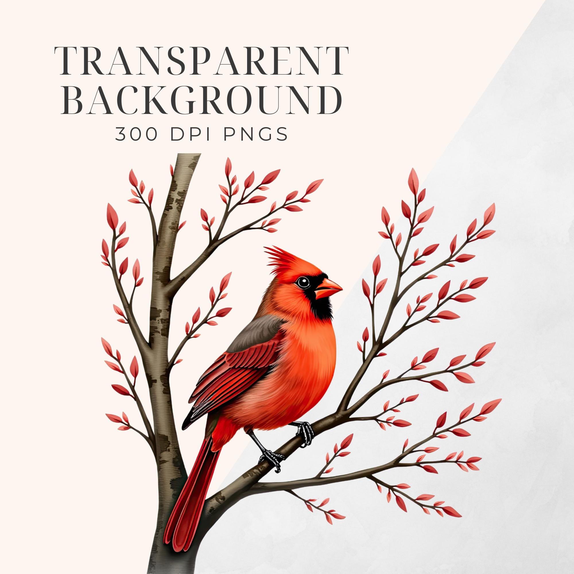 Cardinal Clipart Bundle, Cardinal PNG, Red Bird Png, Cardinal Print ...