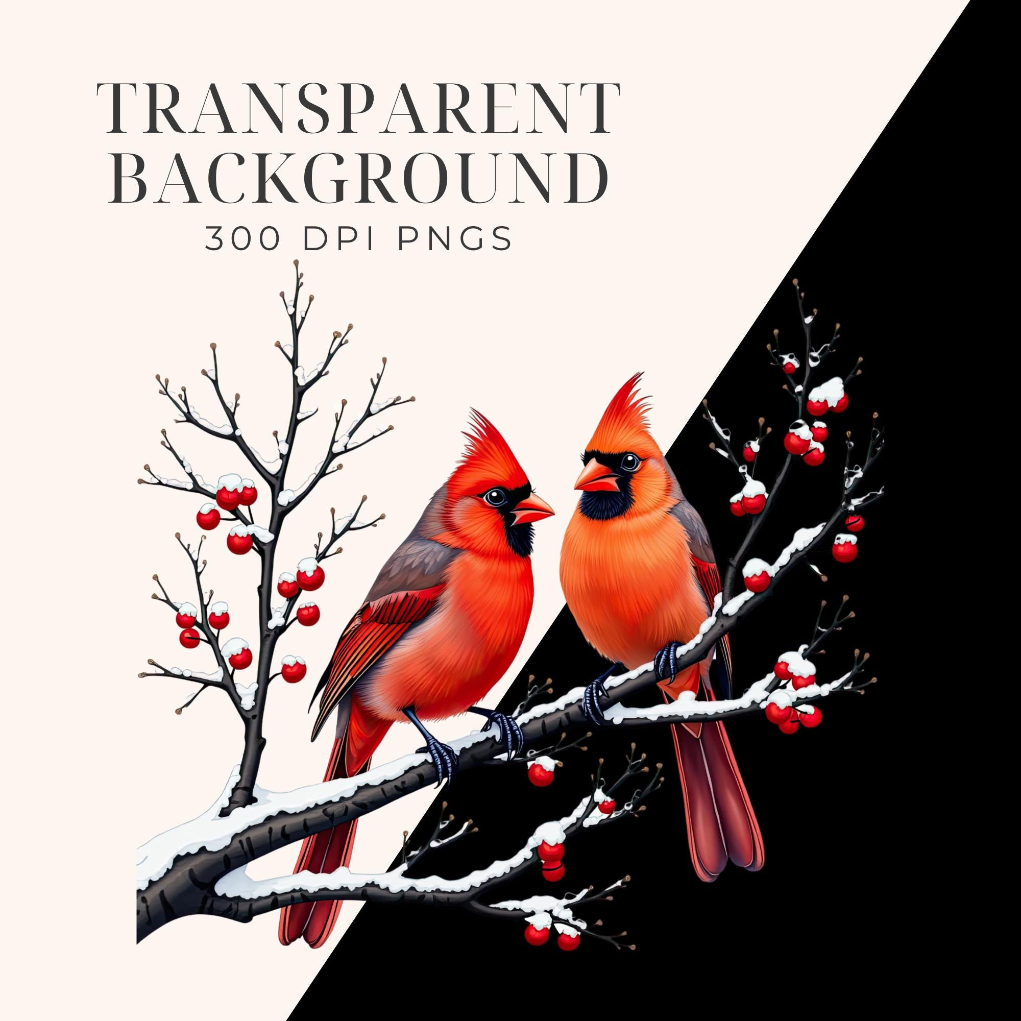 Cardinal Clipart Bundle, Cardinal PNG, Red Bird Png, Cardinal Print ...