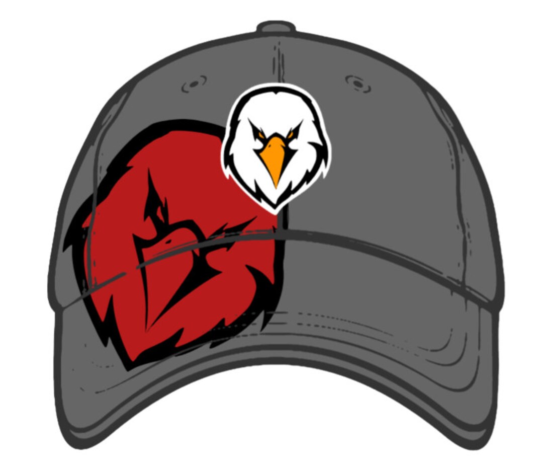 Hawks Hat Flex Brim Adjustable 4 Colors - Etsy