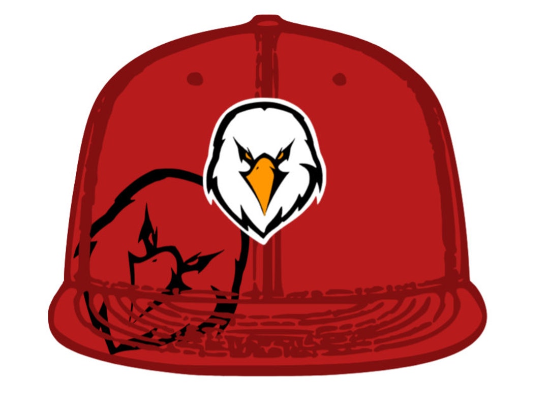 Hawks Hat Flat Brim Snapback (4 Colors) - Etsy