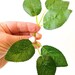 20 Rose Leaf Clusters - Artificial Rose Leaves - Slides Onto Wire Stems ...