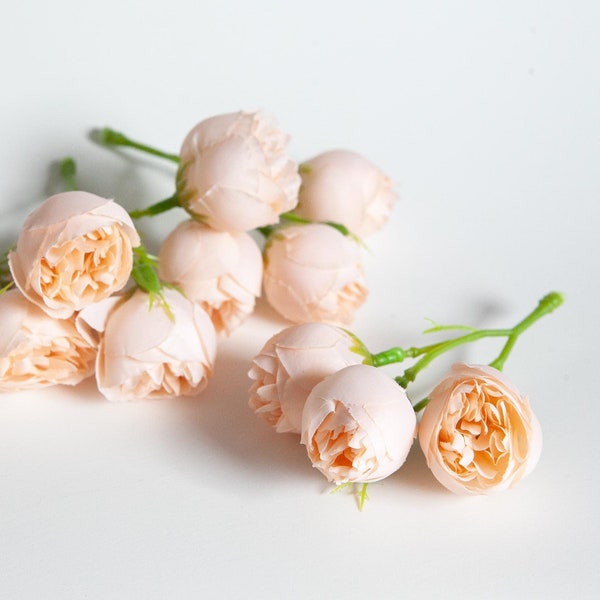 Peach Peony - Etsy
