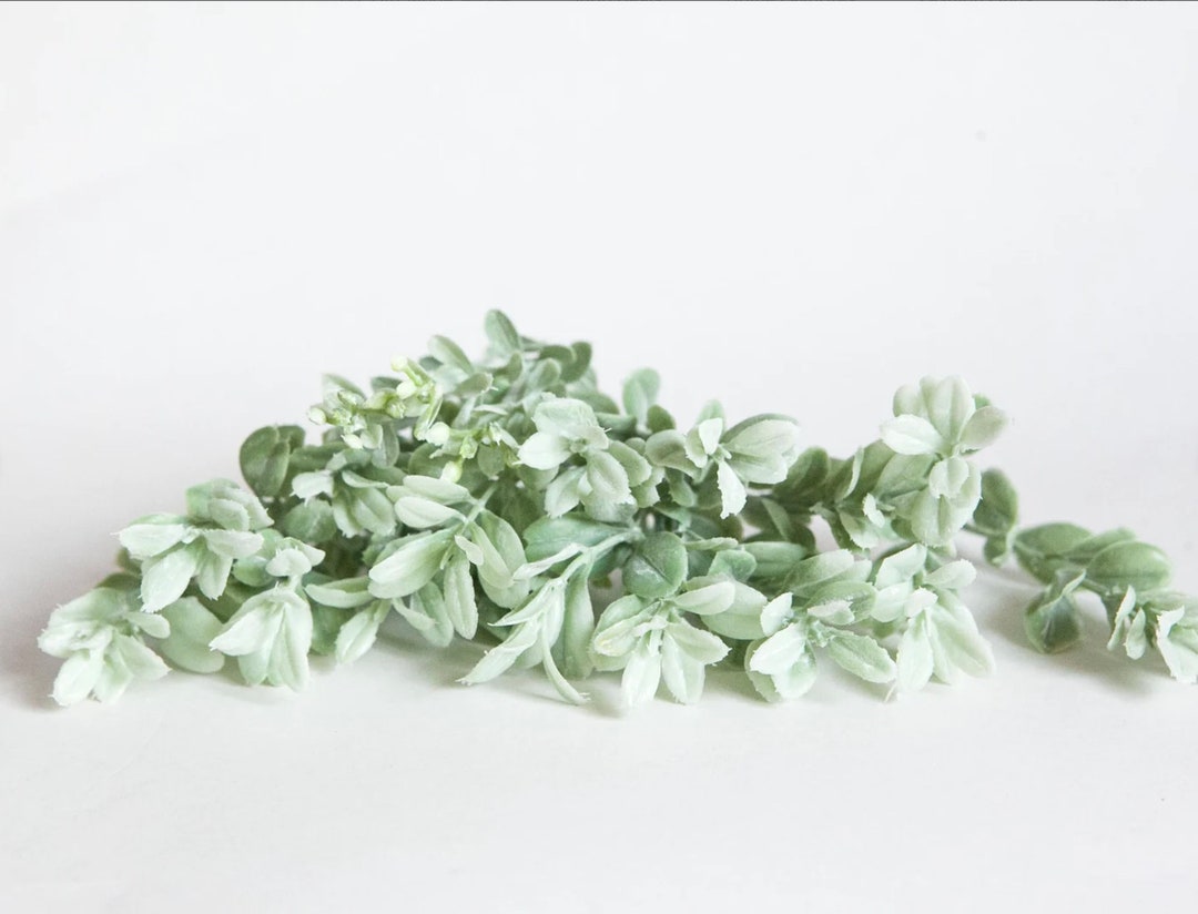 Boxwood Filler in Frosted Green - Artificial Filler, Artificial Flowers ...