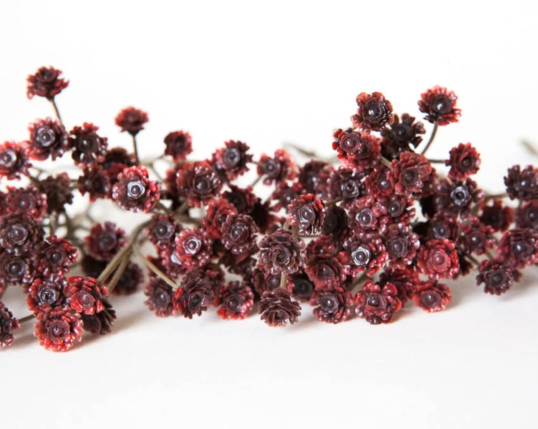 9 Bunches Burgundy Gypsophila Filler, Baby's Breath Filler - Wreath ...
