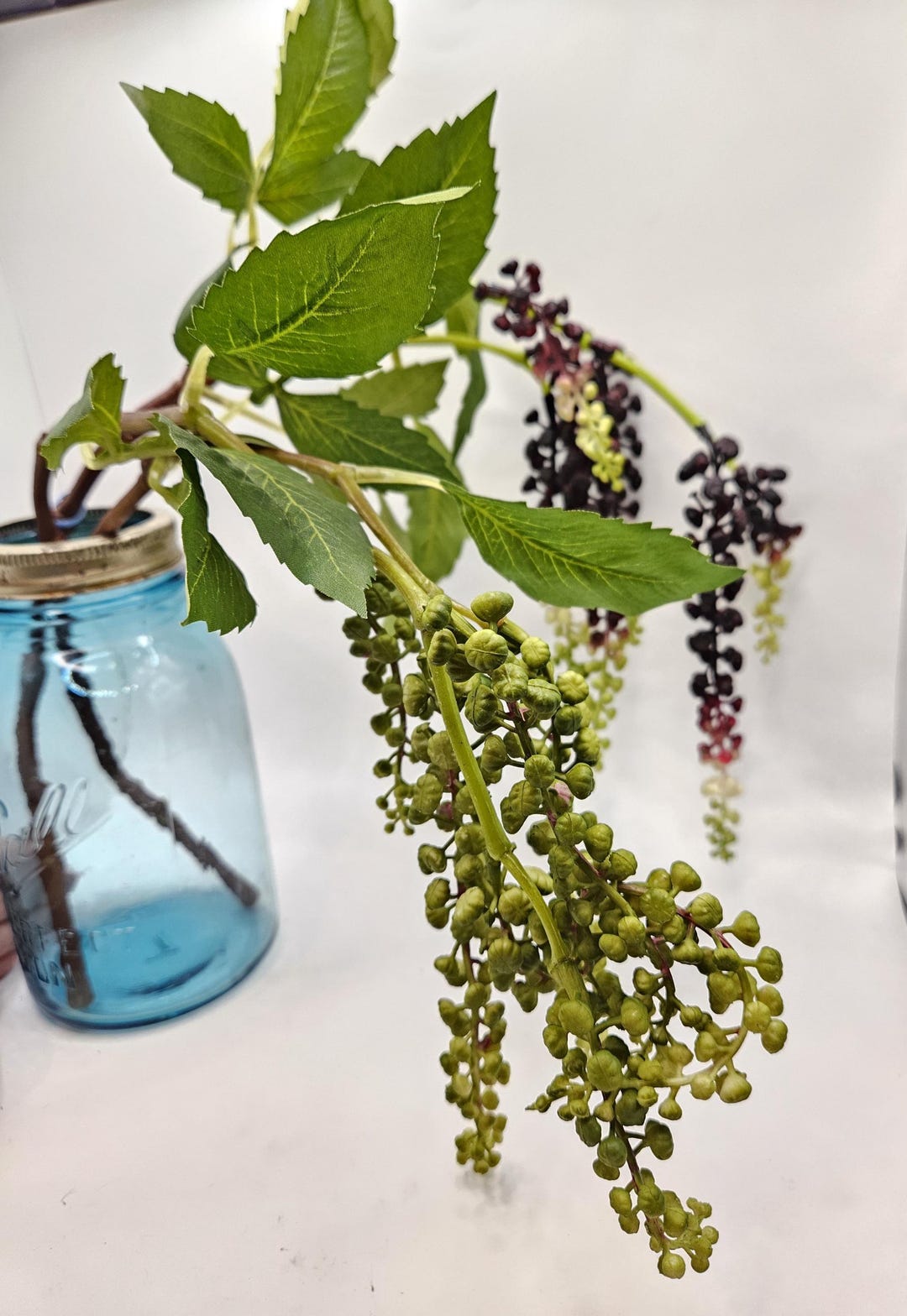 Hanging Pokeberry Stems in Green or Purple - Filler, Wall Hanging ...