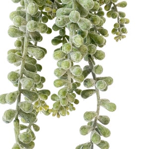 Fake Succulents - Donkey Tail, Hanging Sedum Stonecrop Succulent Pick ...