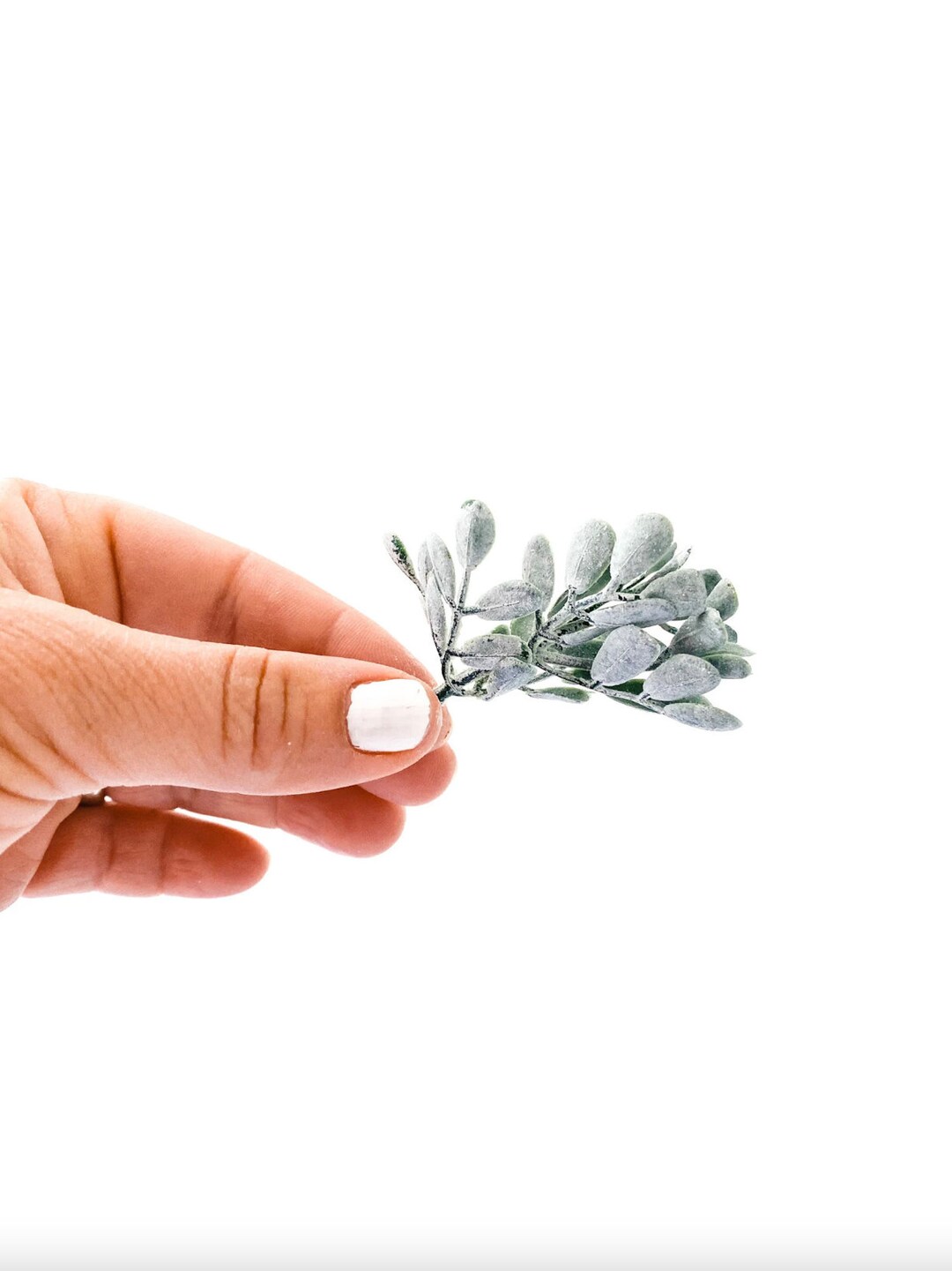 24 Boxwood Filler Pieces in Frosted Gray Green - Artificial Filler ...