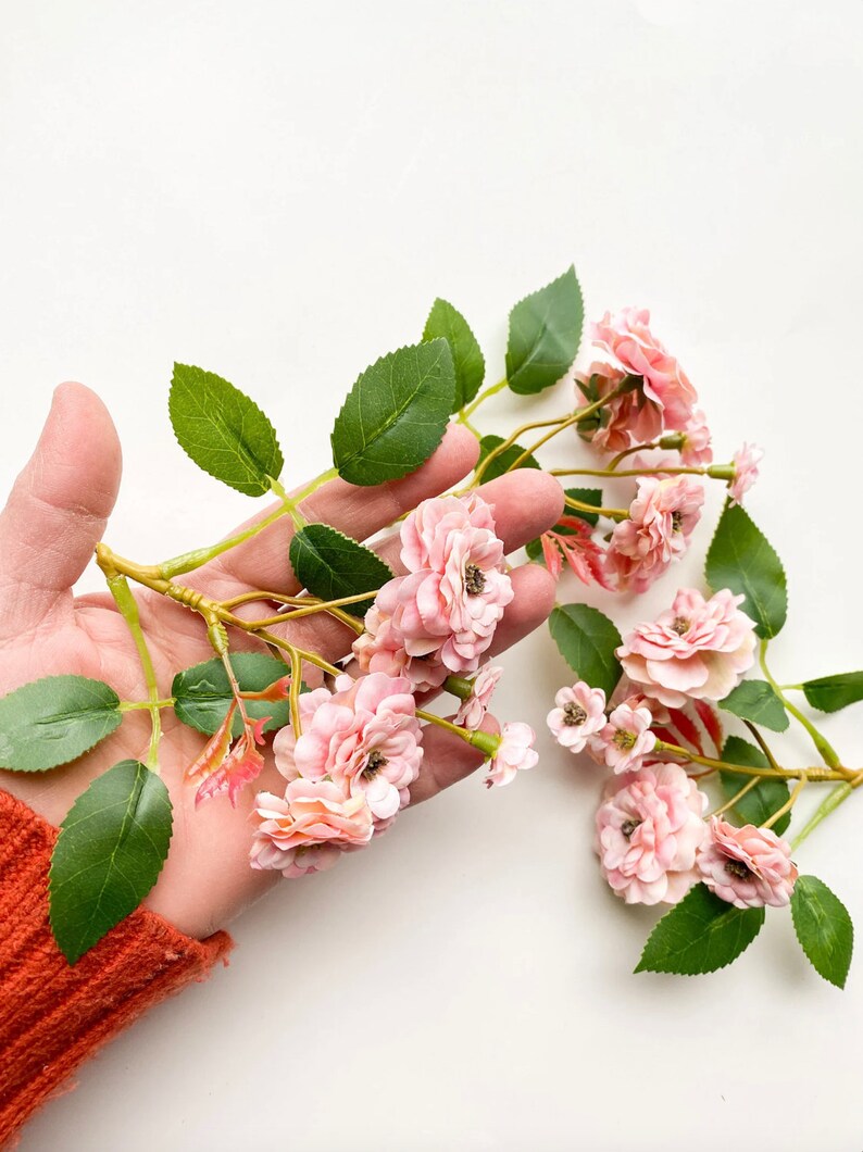 18 Small Pompon Roses - Primroses - 3 Small Bunches of Primrose Flowers ...