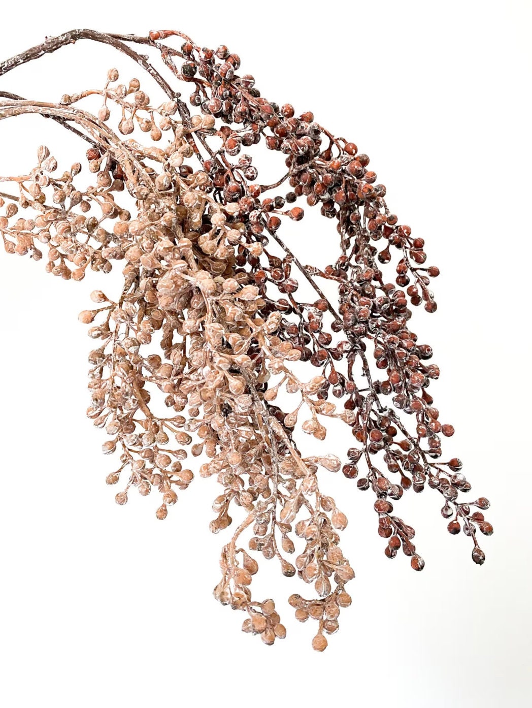 Hanging Dry/preserved Look Berry Stems in Beige or Rustic Color Filler ...