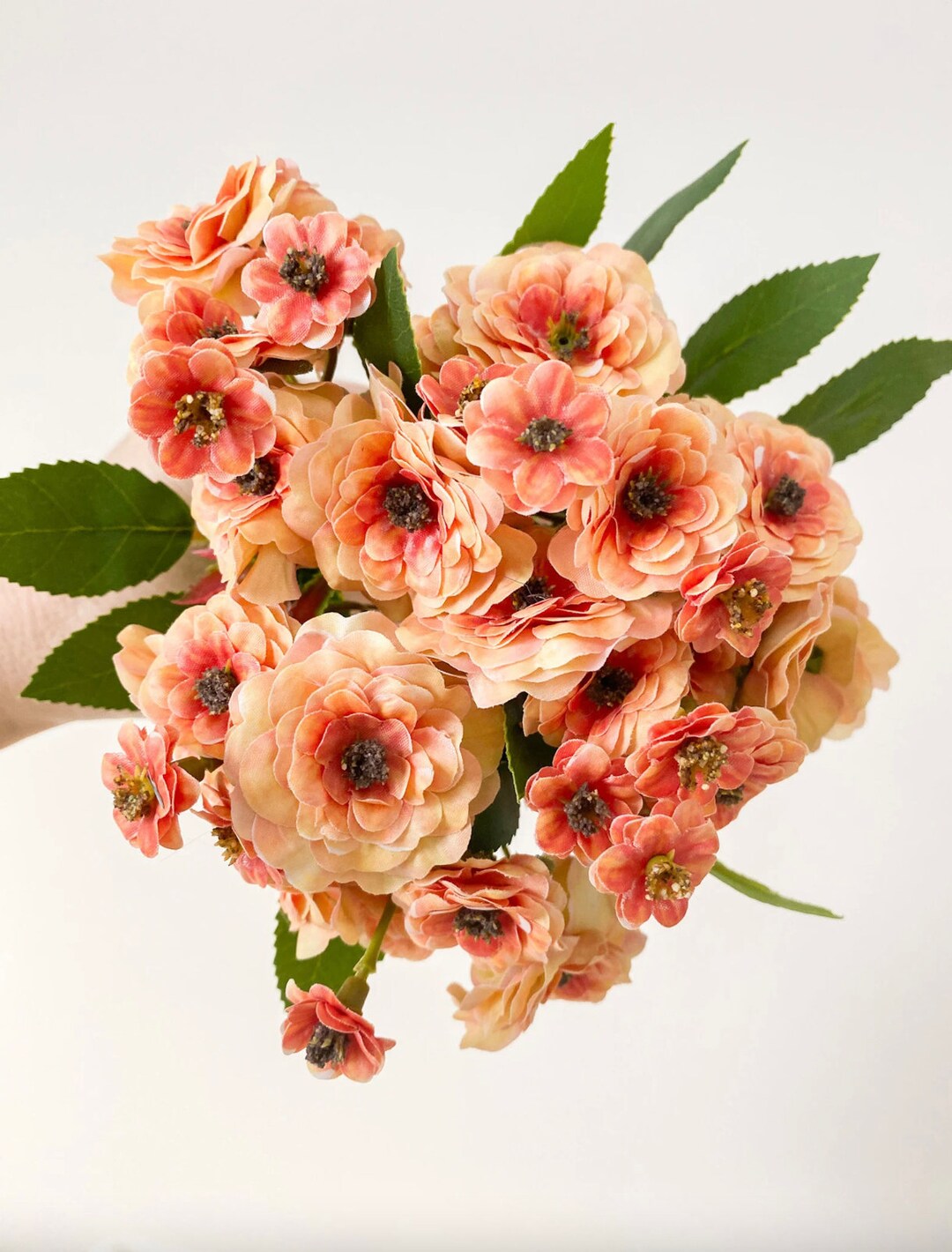 Small Pompon Roses in Peach Tones - Primroses - Small Bunches/bouquet ...