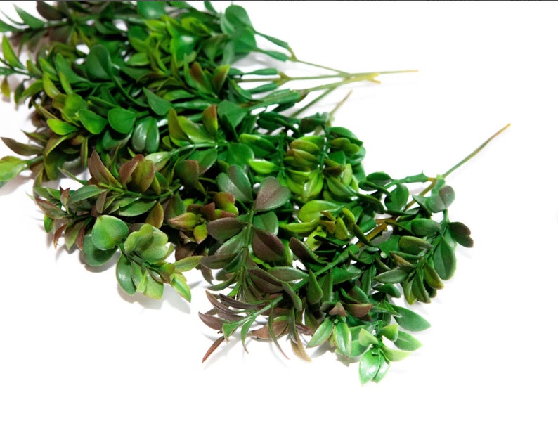 6 Boxwood Stems - Filler - Faux Succulent - Artificial Flowers, Boxwood ...