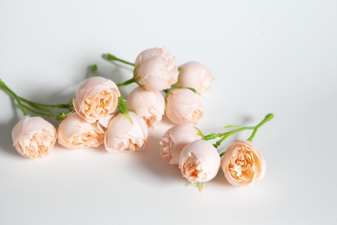 12 Mini Peonies in Peach - Artificial Flowers, Fake Flowers, Light ...