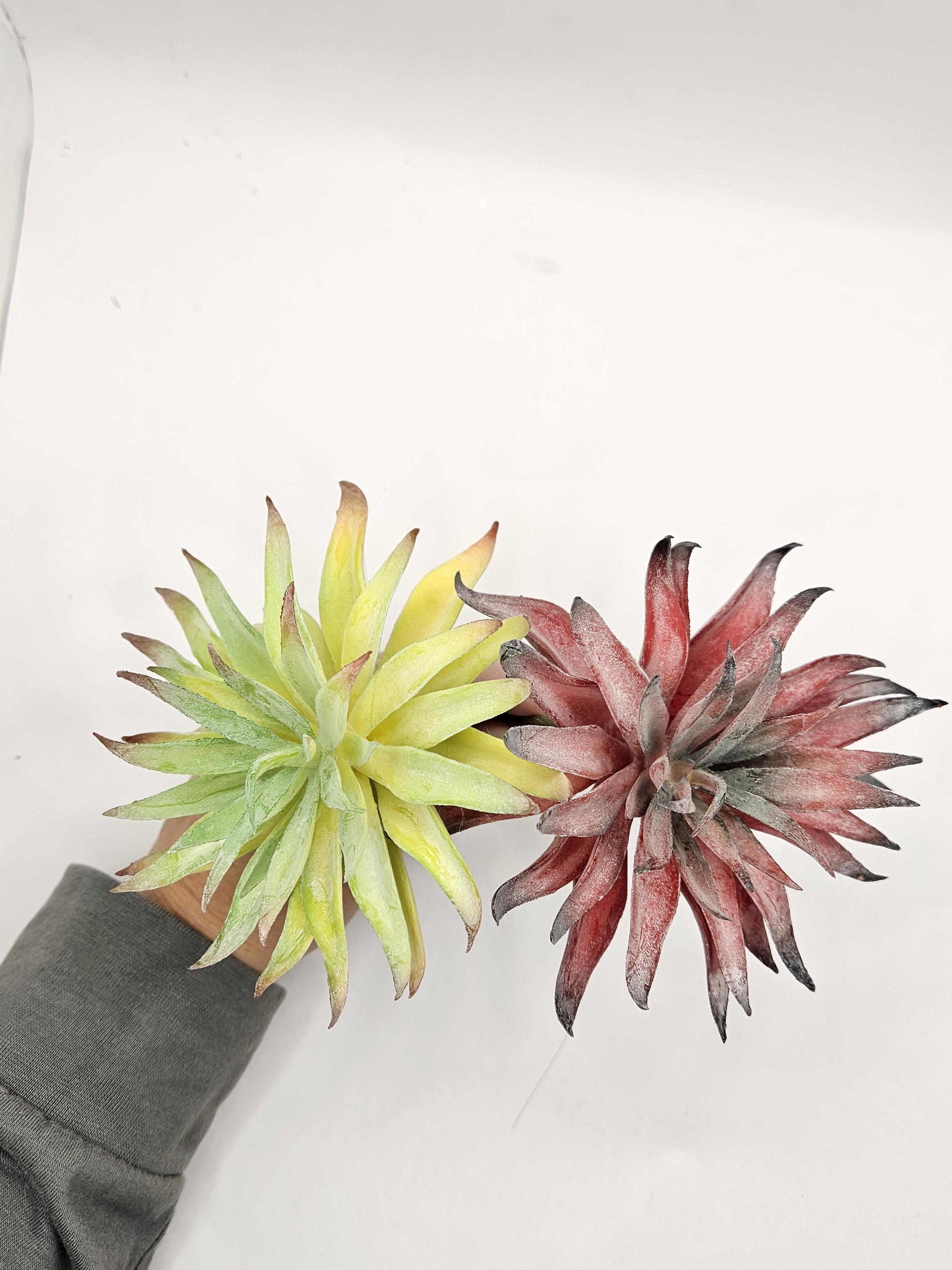 1 Real Touch Mini Agave Succulents in Green/yellow or Red CHOOSE Color ...