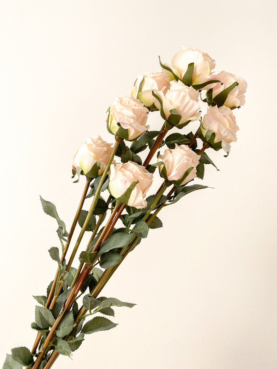 9 Long Stemmed Roses in Light Creamy Blush - Rose Arrangement, Rose ...