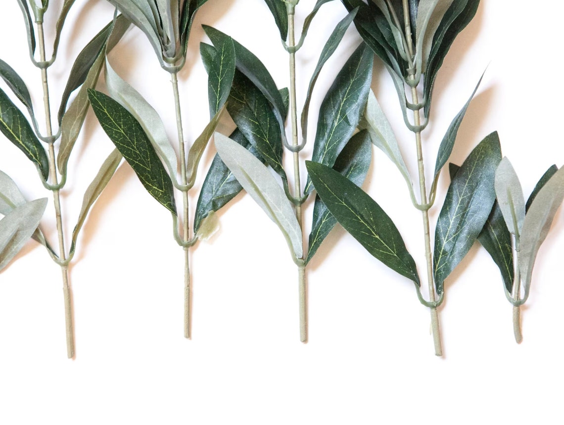 Olive Branch Stems in Green - Filler, Crown Filler, Foliage, Olive ...