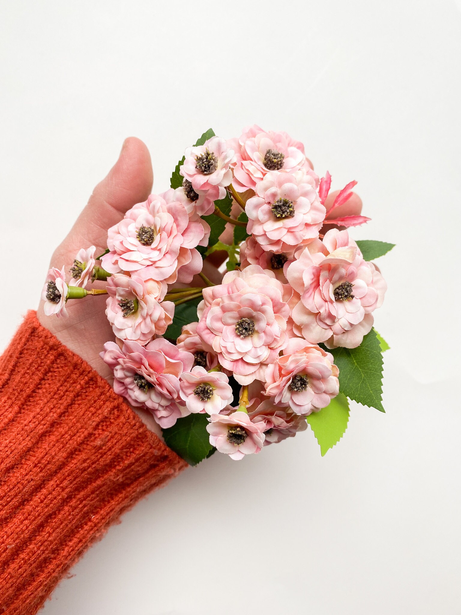18 Small Pompon Roses - Primroses - 3 Small Bunches of Primrose Flowers ...