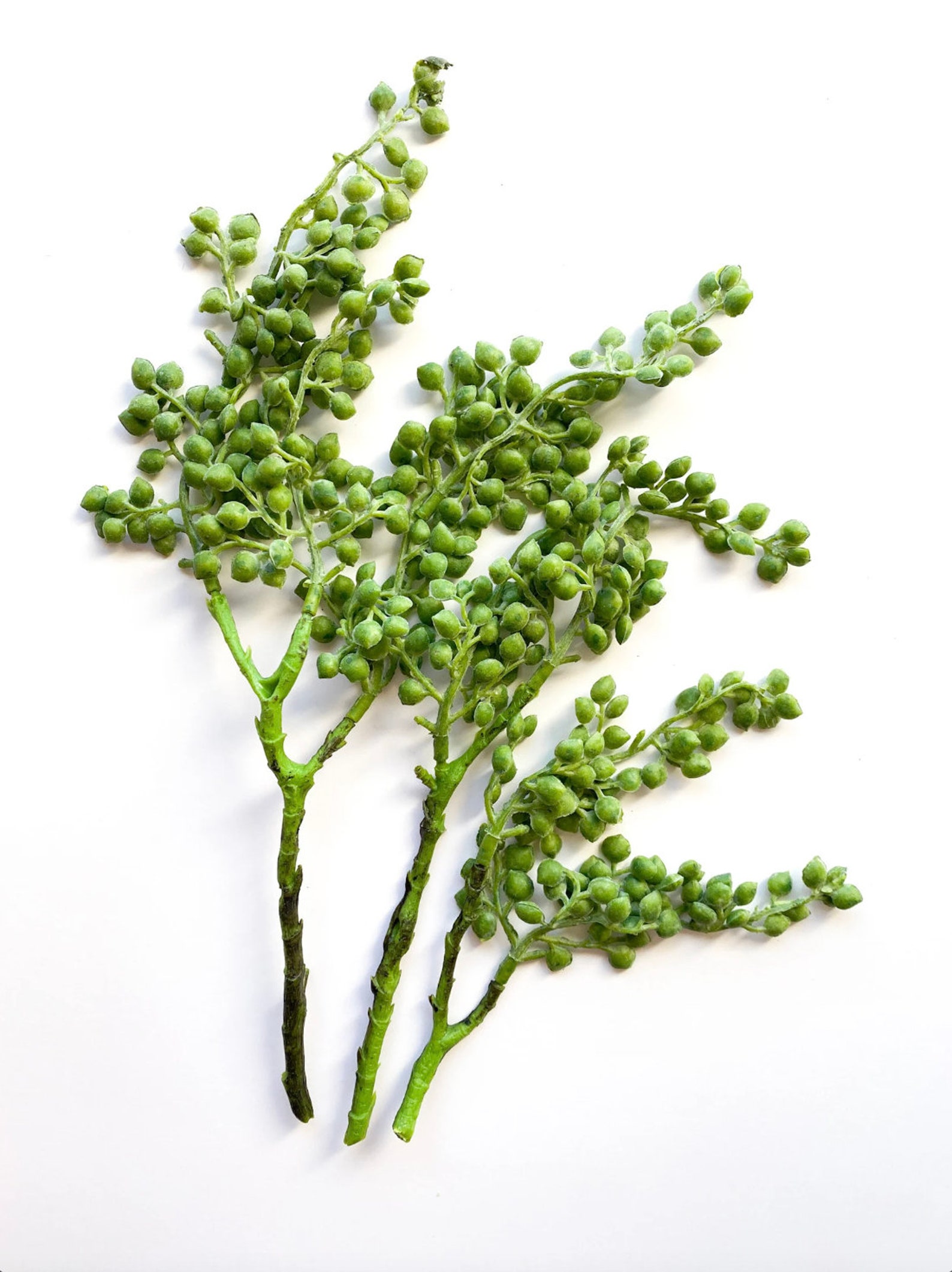 Artificial String of Pearl in Frosted Green Faux String of Pearls ...