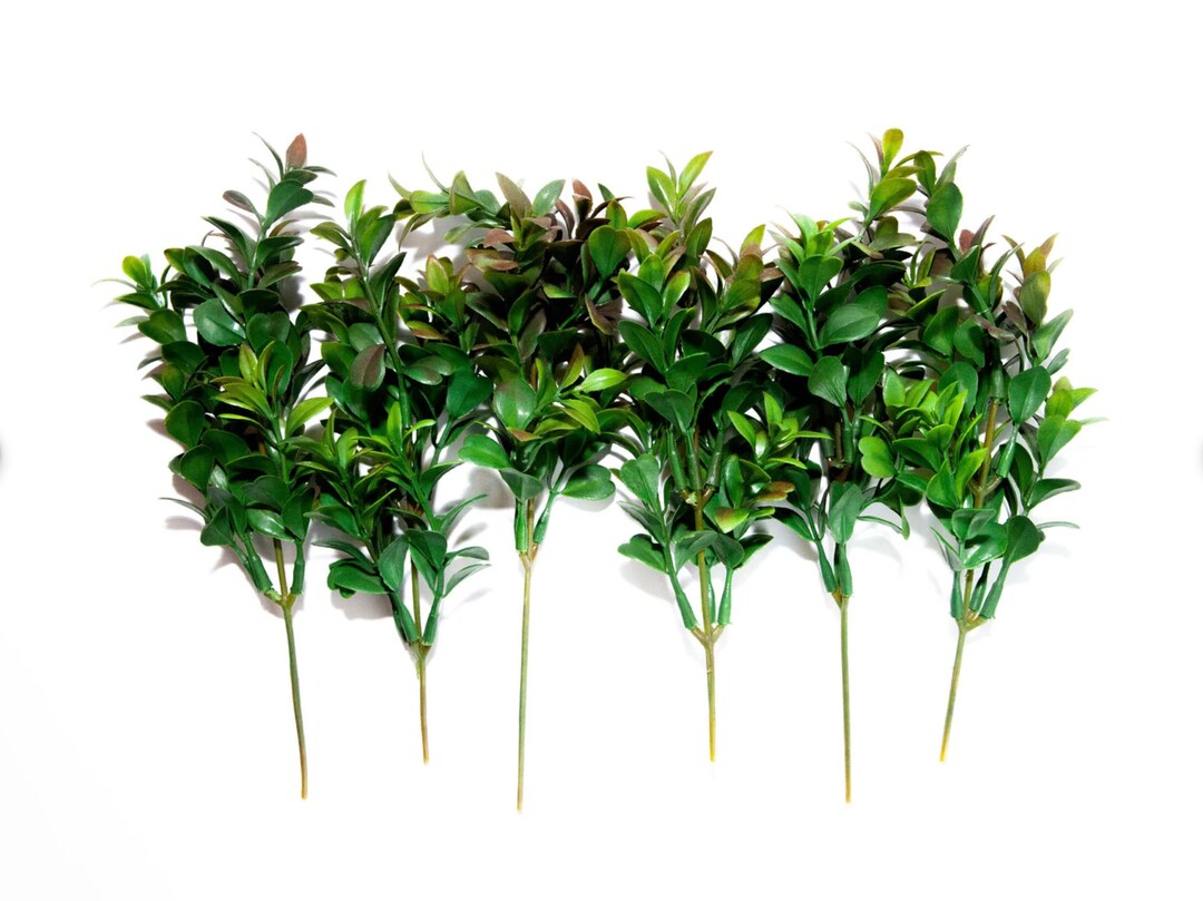 6 Boxwood Stems - Filler - Faux Succulent - Artificial Flowers, Boxwood ...