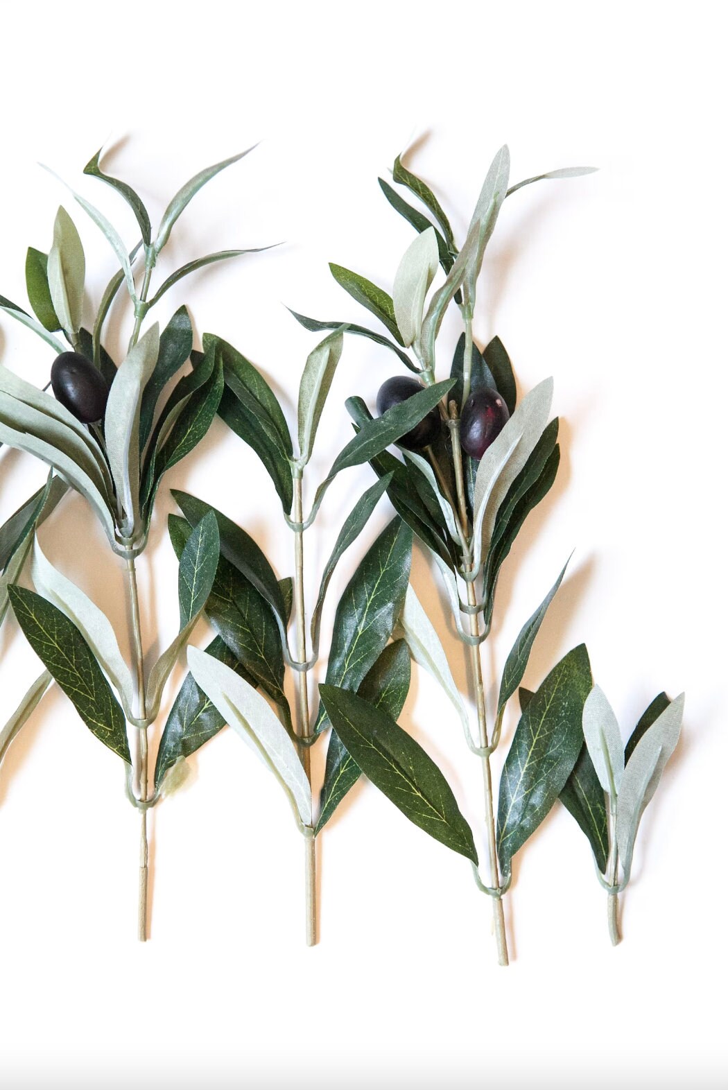 Olive Branch Stems in Green - Filler, Crown Filler, Foliage, Olive ...