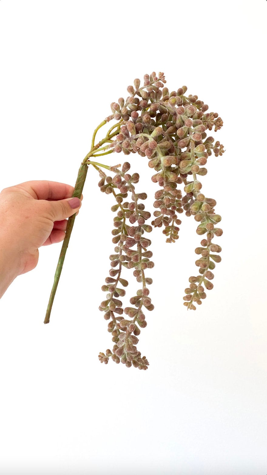 Fake Succulents Donkey Tail, Hanging Sedum Stonecrop Succulent Pick in ...