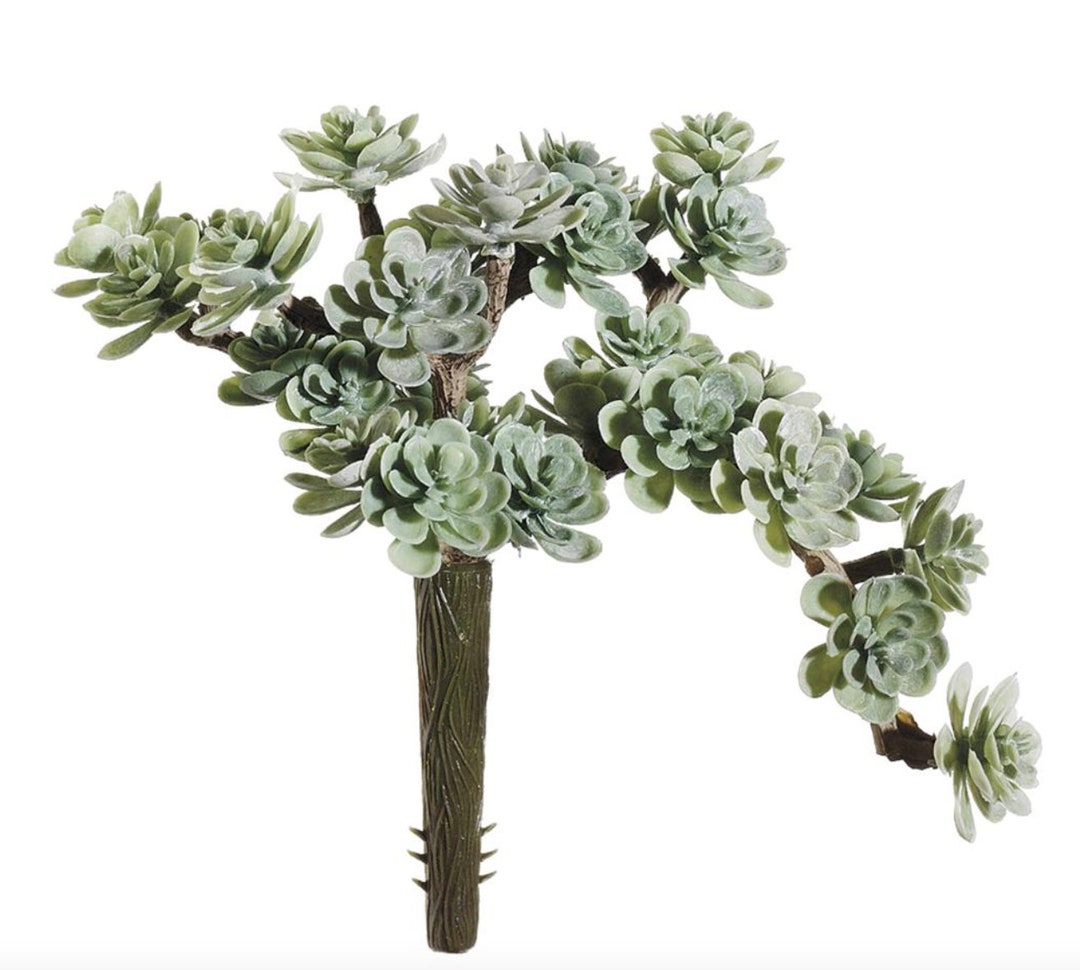 Fake Succulents - Sedum Pick - CHOOSE Trailing or Reaching With 30 ...