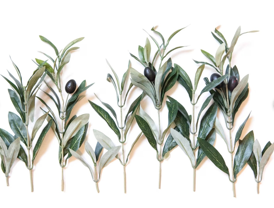 Olive Branch Stems in Green - Filler, Crown Filler, Foliage, Olive ...