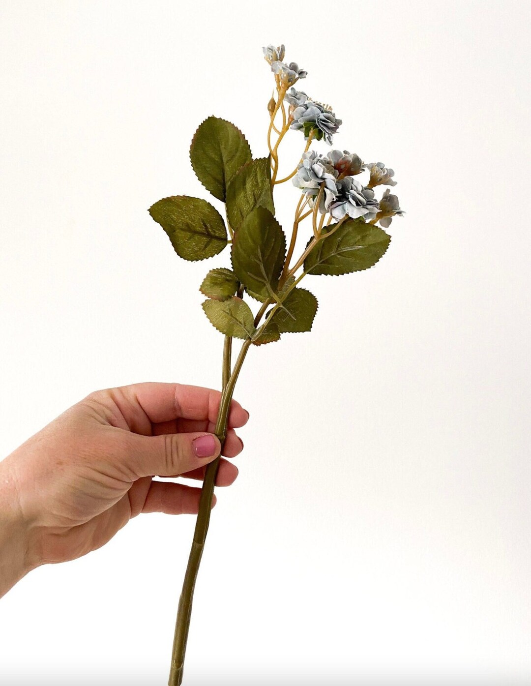Powder Blue Primrose Stem, Artificial Pompon Rose Stem - Light Blue ...