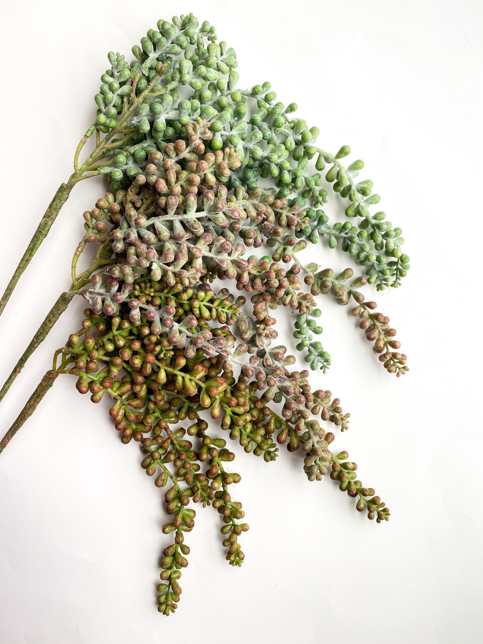 Fake Succulents Donkey Tail, Hanging Sedum Stonecrop Succulent Pick in ...