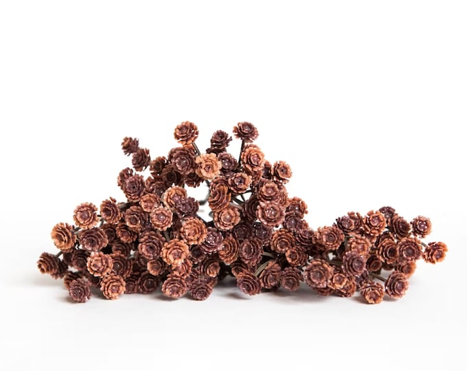 9 Bunches Brown Baby's Breath Gypsophila Filler, Baby's Breath Filler ...
