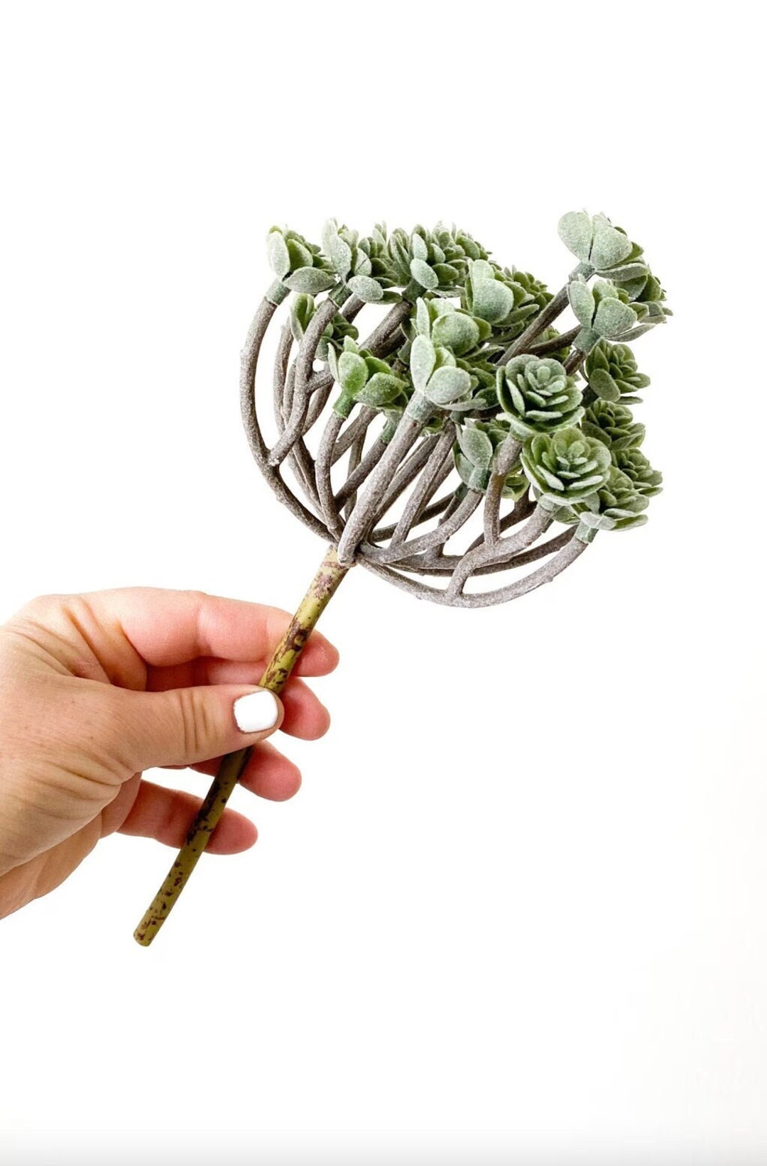Fake Succulents - Succulent Bush Pick With 33 Flocked Mini Succulents ...
