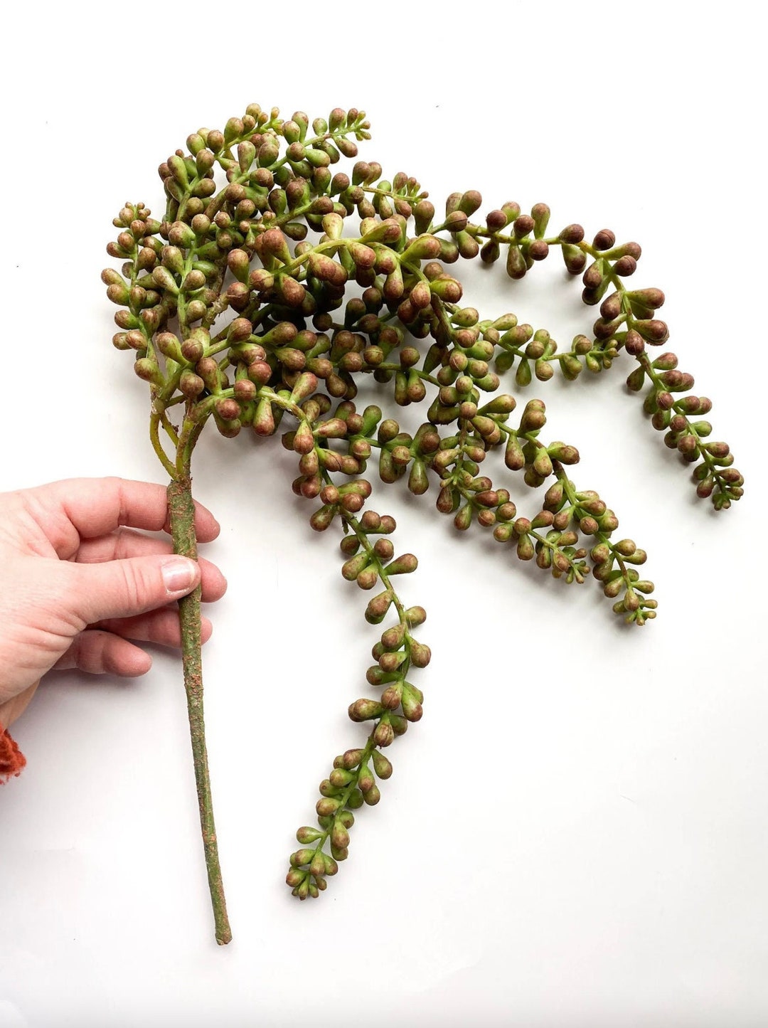 Fake Succulents - Donkey Tail, Hanging Sedum Stonecrop Succulent Pick ...
