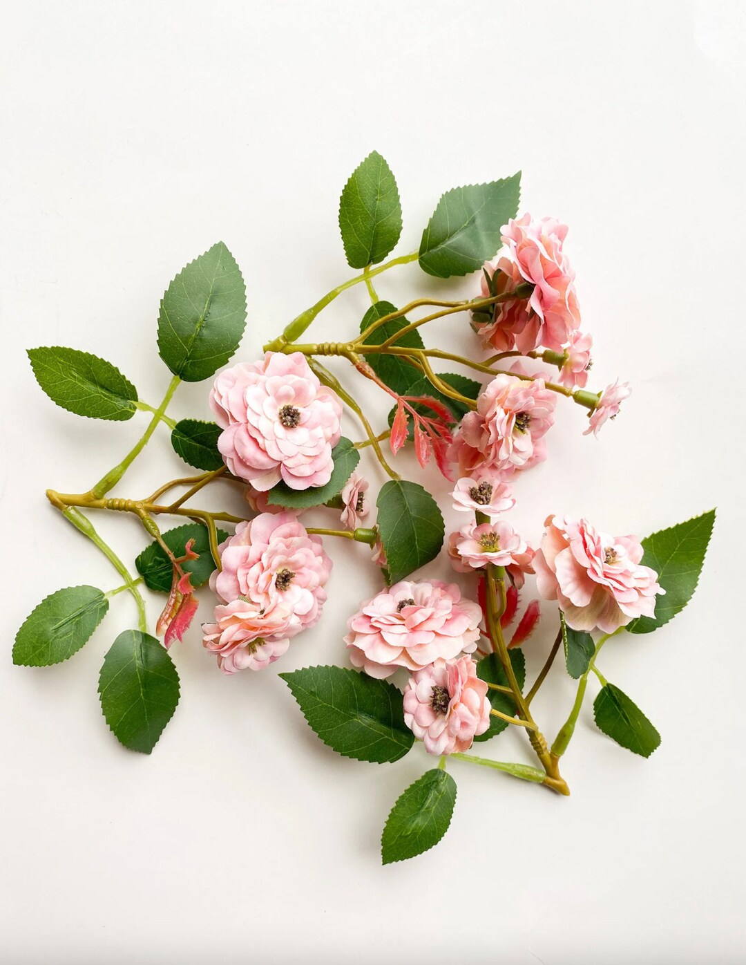 18 Small Pompon Roses - Primroses - 3 Small Bunches of Primrose Flowers ...