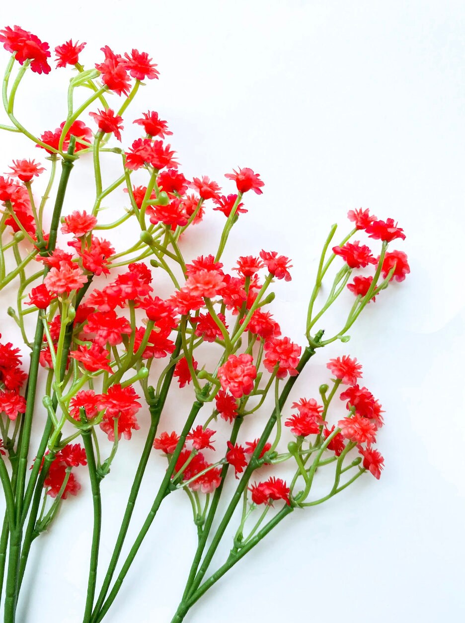 9 Short Stems Red Baby's Breath Gypsophila Filler, Babies Breath Filler ...
