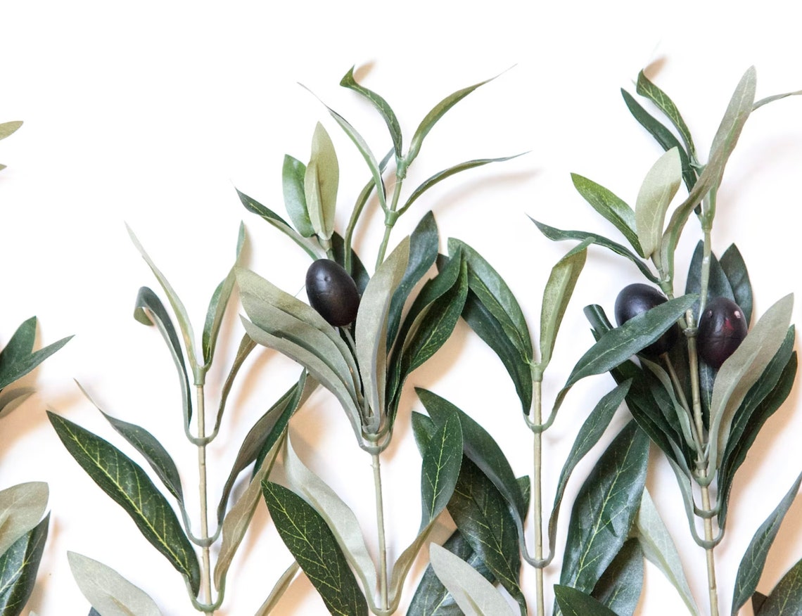 Olive Branch Stems in Green - Filler, Crown Filler, Foliage, Olive ...