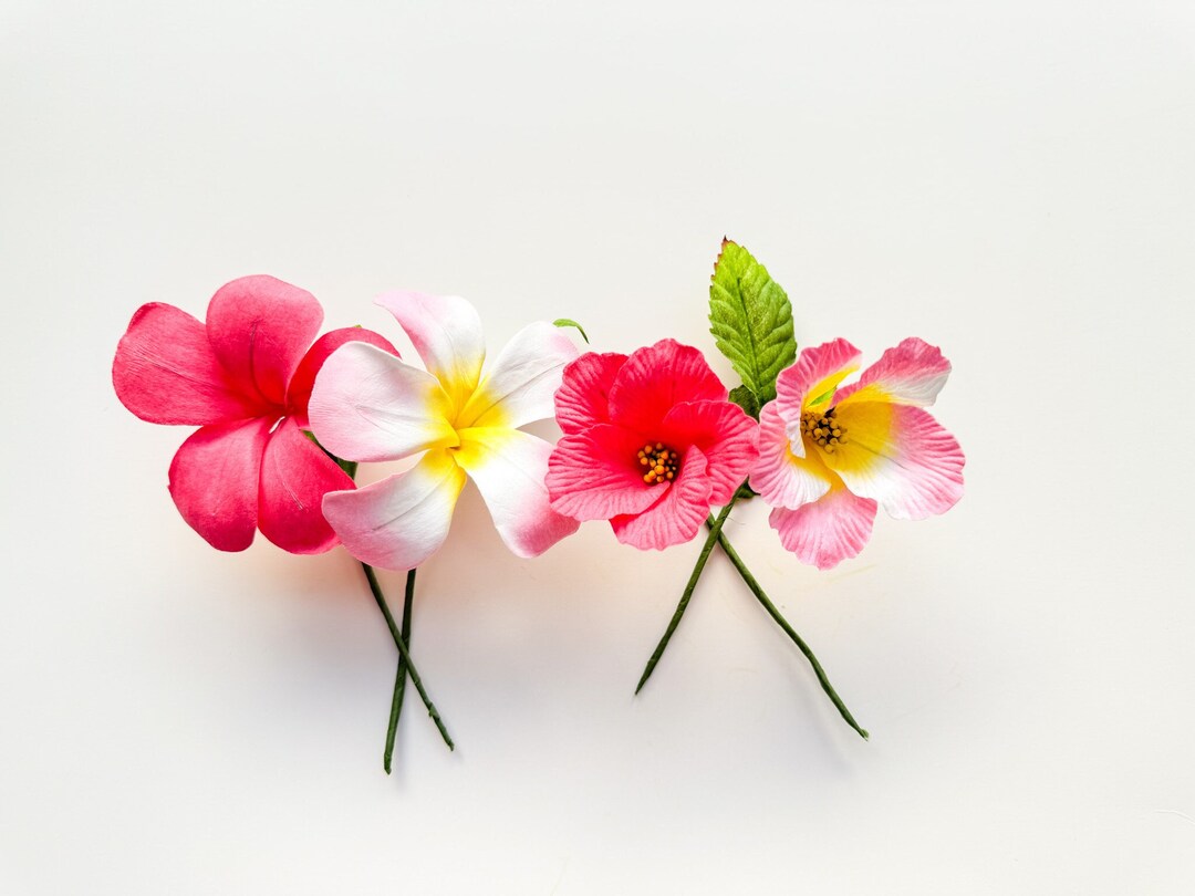 3 Tropical Hibiscus OR Frangipani Paper Flowers in Shades of Pink and ...