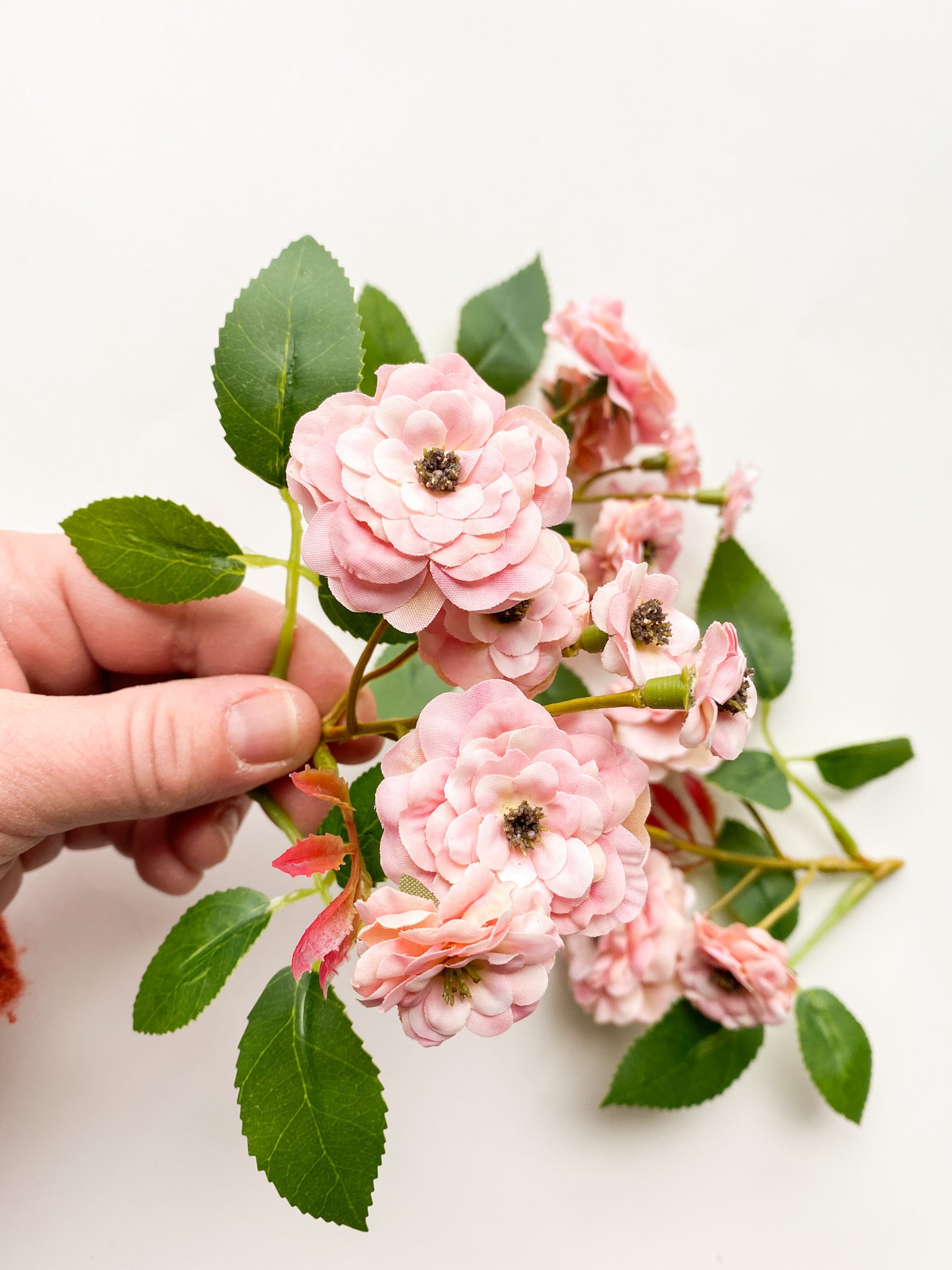 18 Small Pompon Roses - Primroses - 3 Small Bunches of Primrose Flowers ...