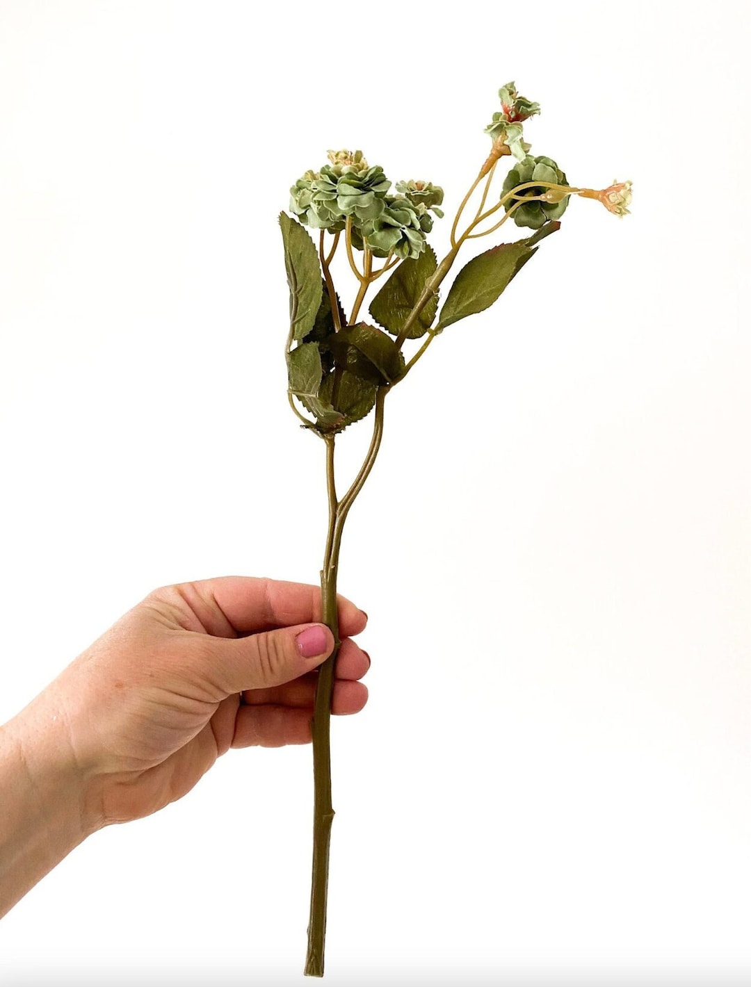 Sage Primrose Stem, Artificial Pompon Rose Stem - ITEM 1313 - Etsy