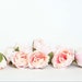 20 Mini Vintage Inspired Ruffled Roses in Pink and White - SMALL ...