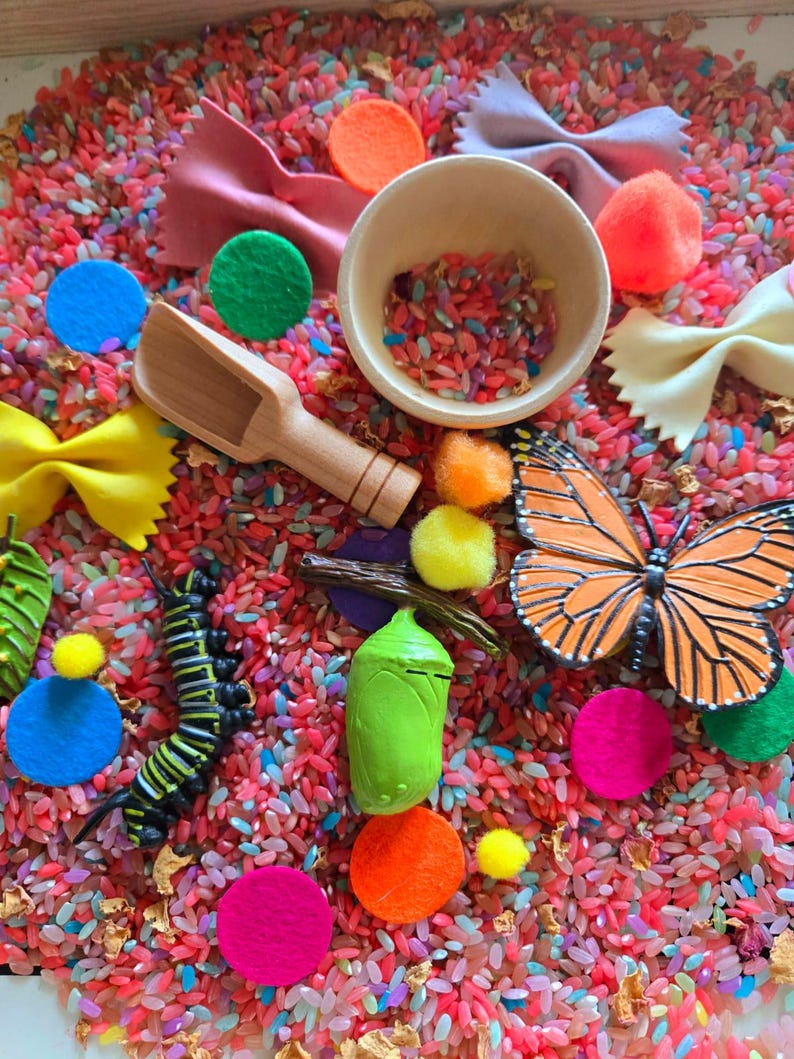 Butterfly Life Cycle Sensory Kit - Etsy