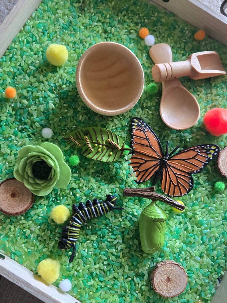 Butterfly Life Cycle Sensory Kit - Etsy