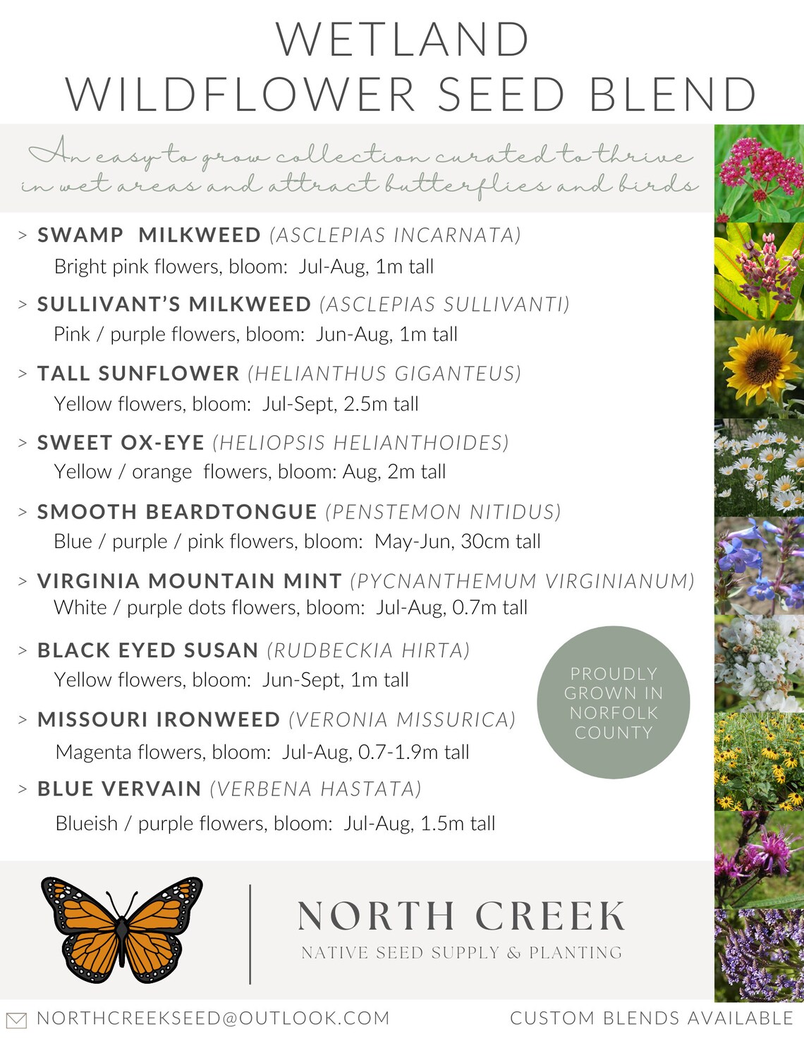 Wetland Blend - WILDFLOWER SEED MIX | Native Ontario Wildflower Seeds ...