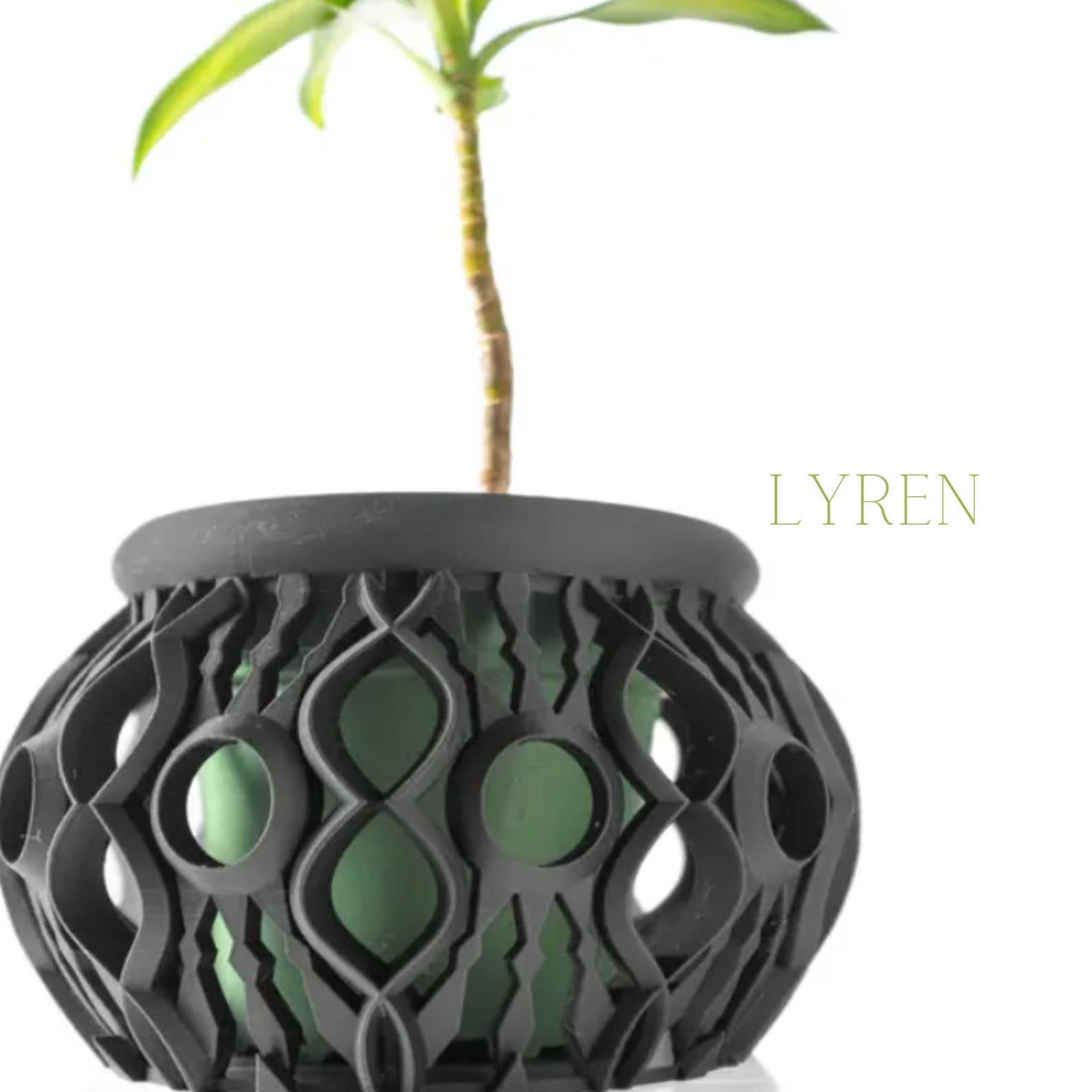 Lyren Hybrid Orchid Planter | Modern Home Decor Pot - Etsy