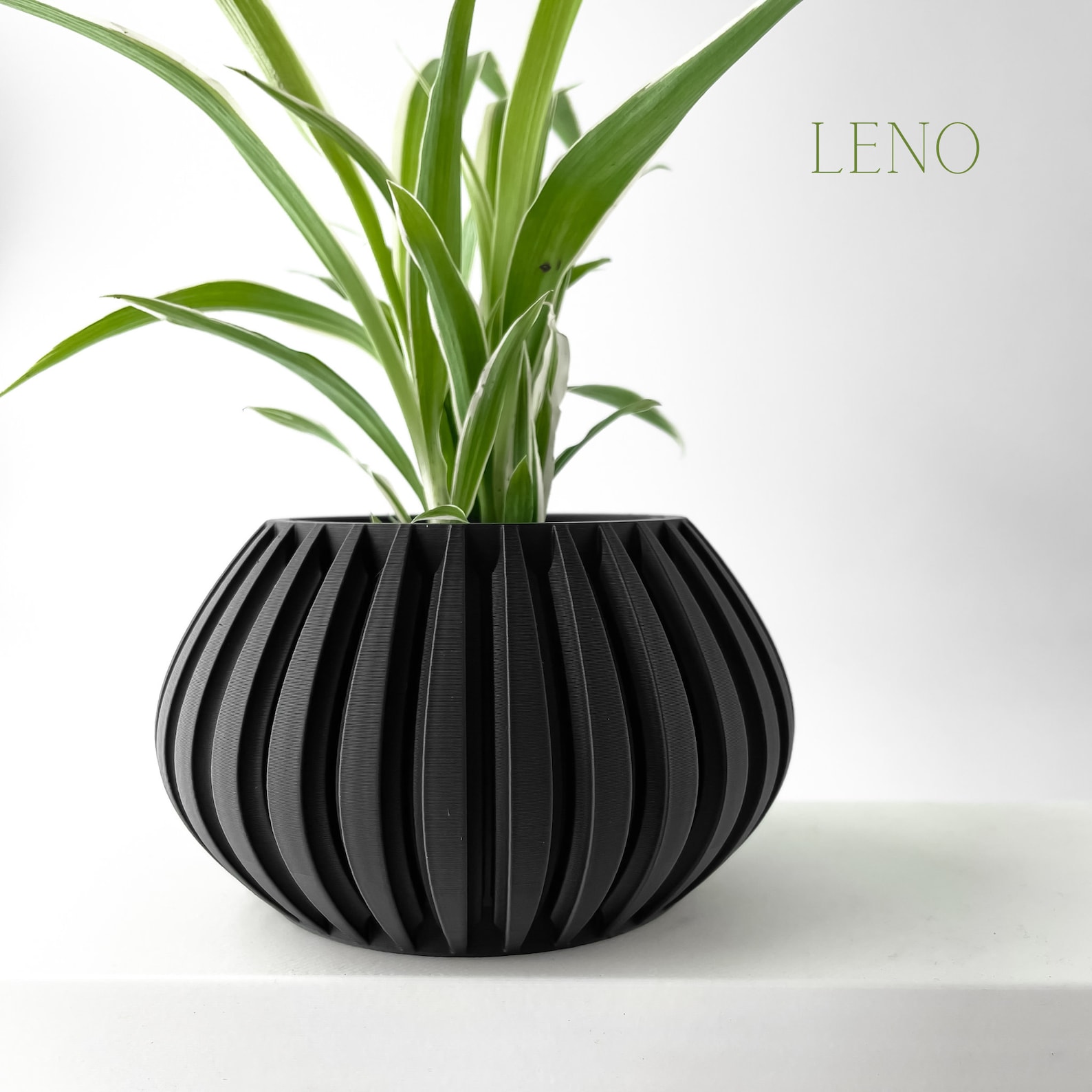 Leno Planter Pot: Modern Ridged Design, Succulent & Broad Leaf Plants ...